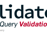 Jquery Validation Plugin