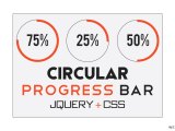 Jquery Circular Progress Bar With Css Circle Radial Progress Bar