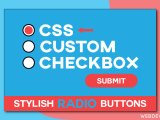 Css Custom Checkbox And Radio Buttons Html Stylish Radio Button
