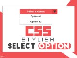 Custom Html Css Select Option Stylish Dropdown Options
