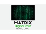 Matrix Digital Rain Effect With P5 Js Hacking Background Loop Text
