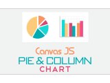 Pie And Column Chart Using Canvas Js With Responsive Layout