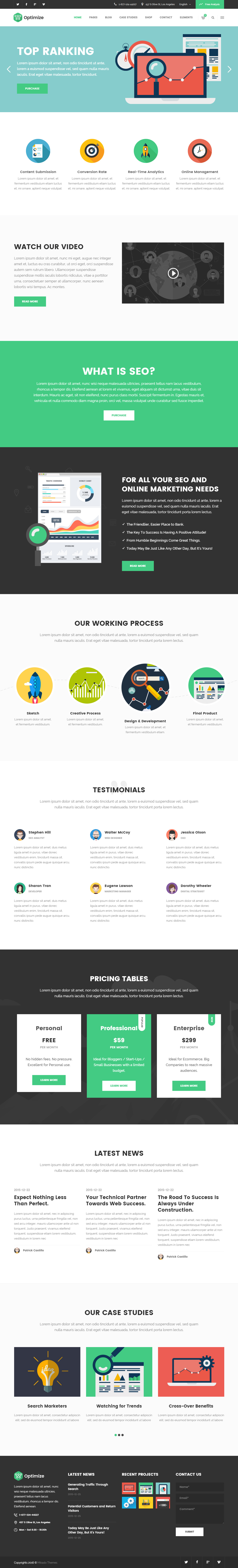 Seo Optimized WordPress Themes: Optimize SEO WordPress Infographic ...