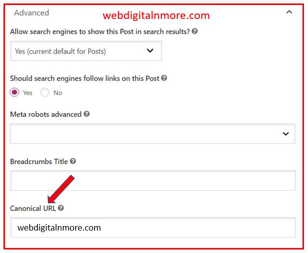 Learn Canonical Tag Like A Pro Web Digital N More Learn Canonical Tag Like A Pro Web Digital N More