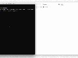 Debug Webdriverio