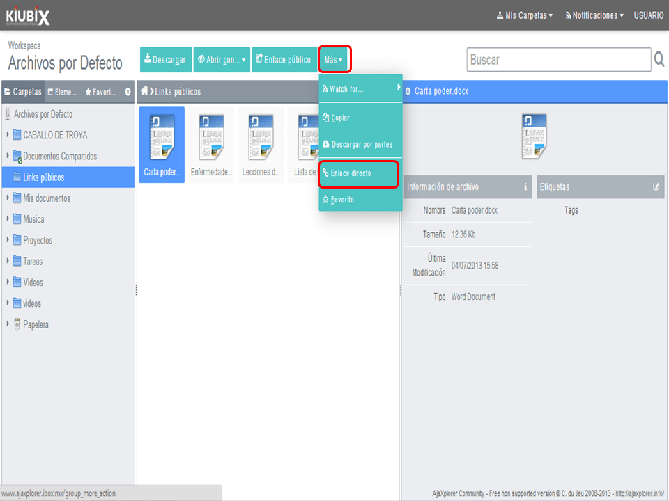 ¿Cómo ver el enlace directo de un archivo en AjaXplorer? — Webirix