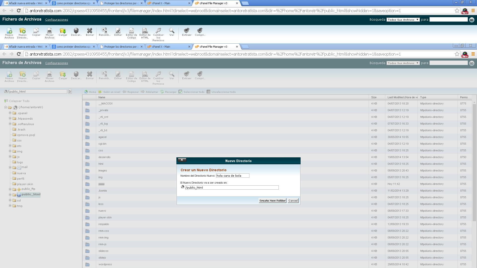 como crear y proteger directorios cpanel — Webirix