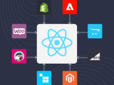 Reactjs Development Service Webkul Software
