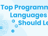 Top Programming Languages Every Ai Software Developer Should Learn Now