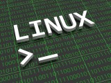 Do Programmers Need To Know Linux In 2024 Let S Find Out