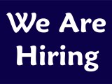 Web Solution Firm