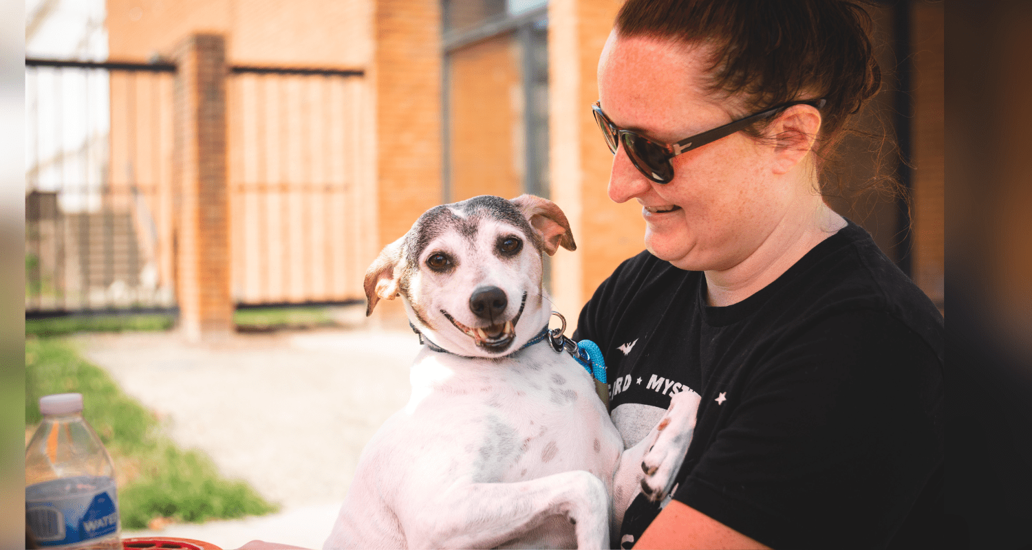 10 Ways to Celebrate National Dog Day in Wheeling - Weelunk