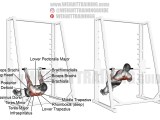 Inverted Row Muscles How To Do An Inverted Row Bodi
