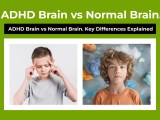 Adhd Brain Vs Normal Brain Key Differences Explained