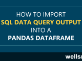Importing A Sql Data Query Into A Pandas Dataframe Wellsr