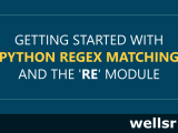 Understanding Python Regex Matching Wellsr
