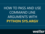 Using Command Line Arguments With Python Sys Argv Wellsr