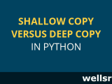 Shallow Copy Vs Deep Copy Of Python Objects Wellsr