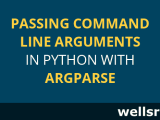 Passing Command Line Arguments In Python With Argparse Wellsr