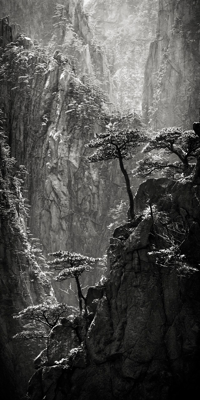 The Metaphorical Landscape | What Will You RememberWhat Will You Remember