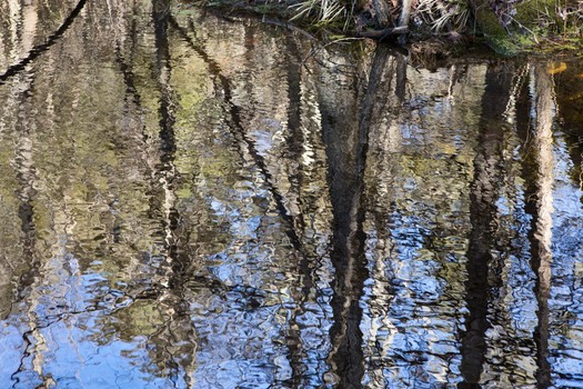 Meditations at 555 Gallery | What Will You Remember