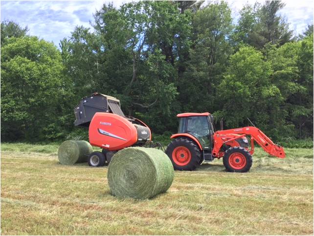 Gallery – Wheel-View Farm