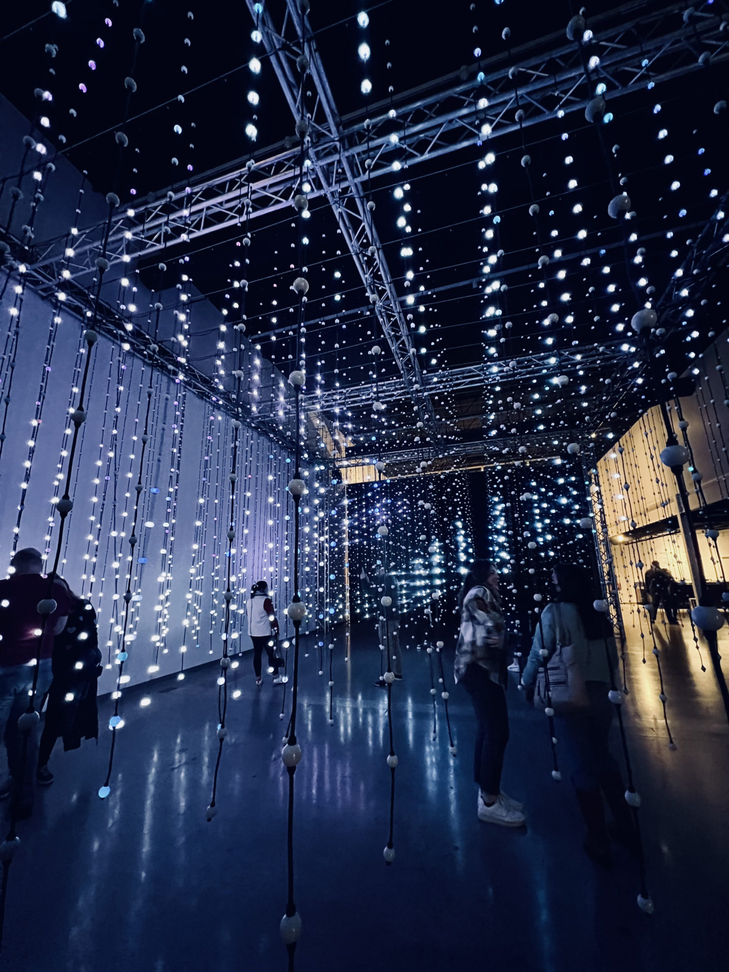 The Best 3 Travel Experiences In Austin, Texas - where's wallock ...