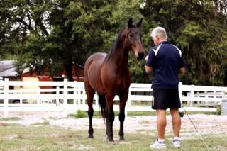 About | Whispering Oaks Equestrian Center