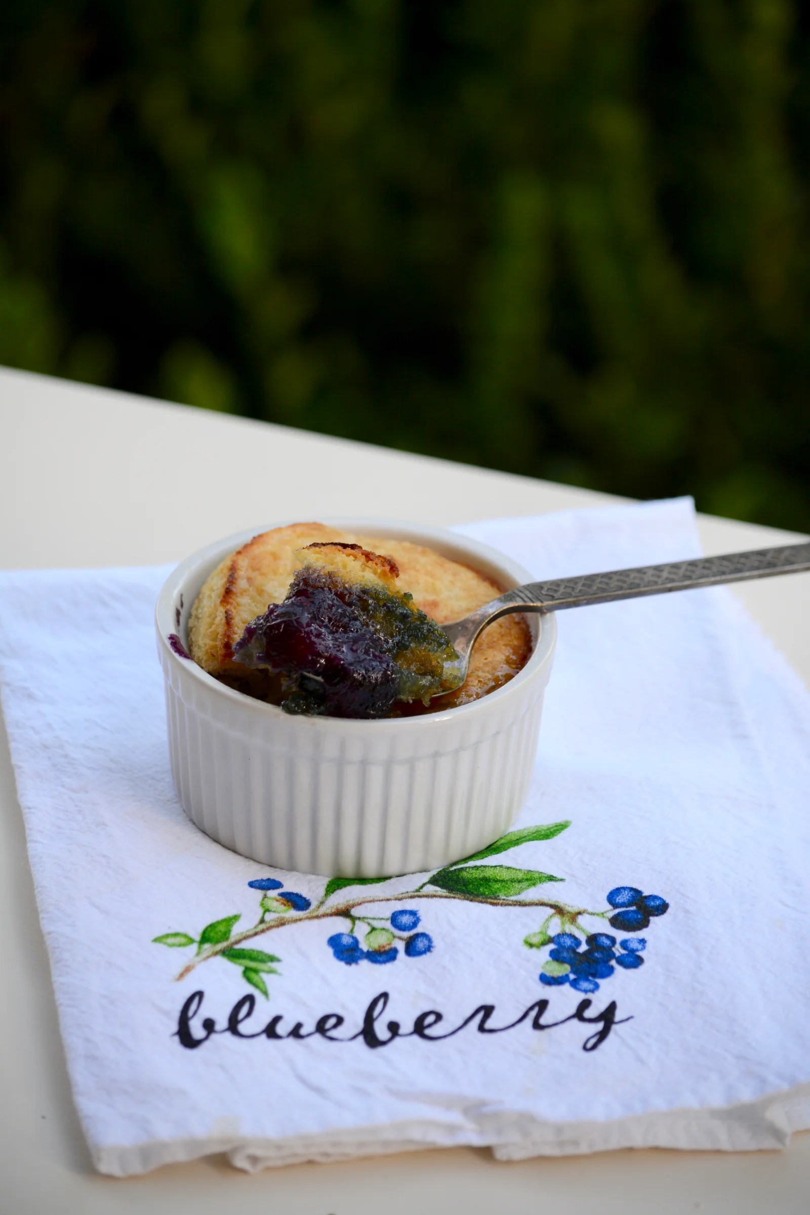 Blueberry Breakfast Cobbler – Whitney Miller