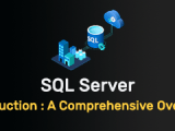 Mastering Data Management Sql Server Tips Insights Wholsalekeys
