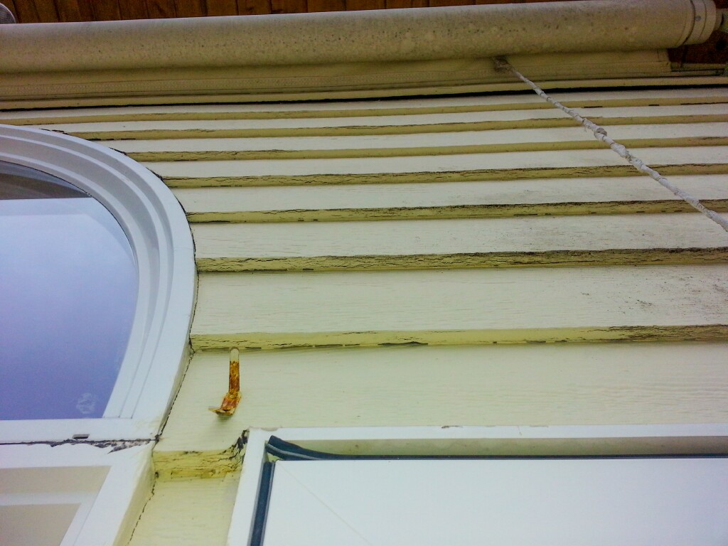 The WhyWeLoveSkagit Team | An Overview of LP Siding Issues - The ...