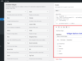 How To Use Widget Options In Classic Widget Editor