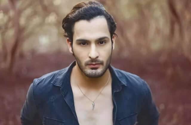 Umar Riaz (Bigg Boss 15): Wiki, Bio, Age, Net Worth, Girlfriend