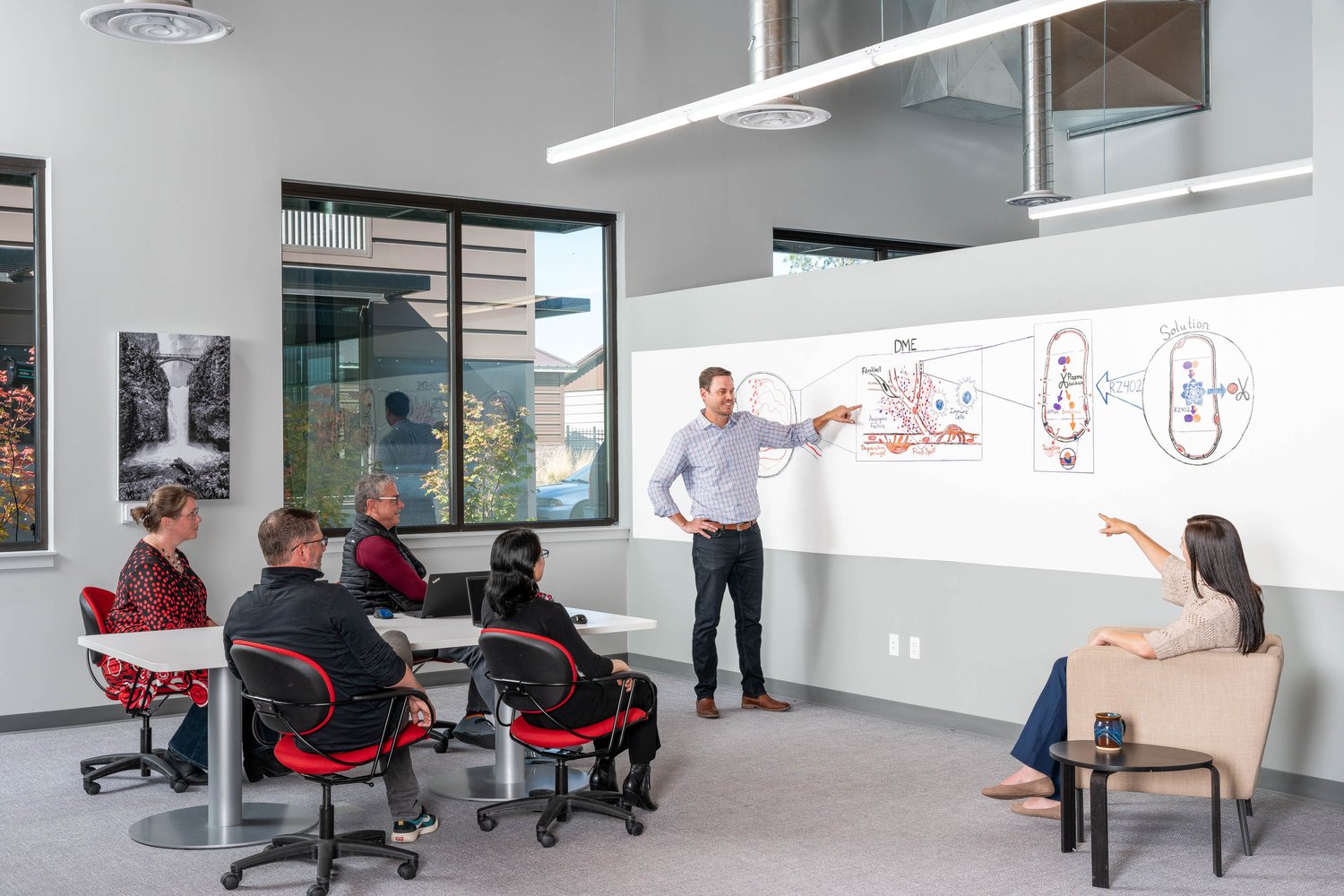 Home - Wild Pixel Creative