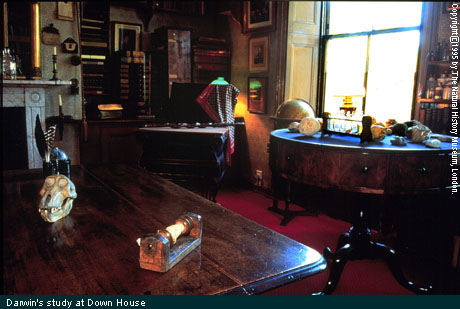 A visit to Down House – That's How The Light Gets In