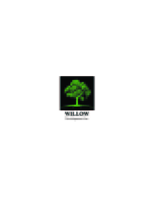 willow_development_logo_black – revised | Willow Development Inc
