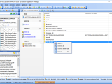 Download Sql Manager For Sql Server 5 0 4 Build 54454
