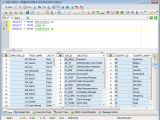 Pl Sql Developer Download Free Full Version Bpoboss