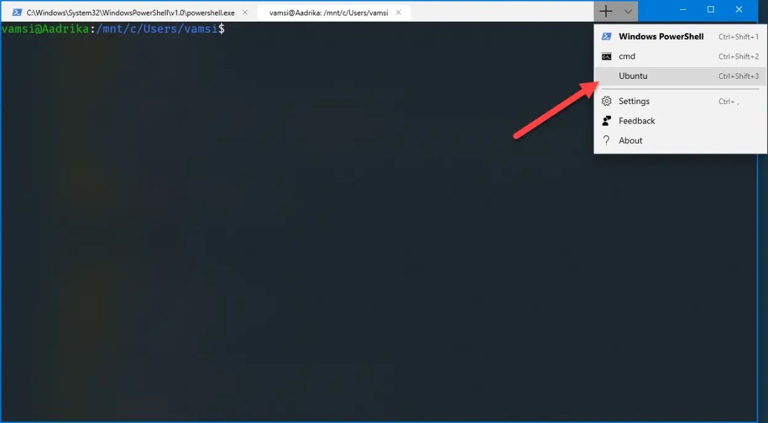 How To Add Ubuntu Tab To Windows Terminal In Windows 10