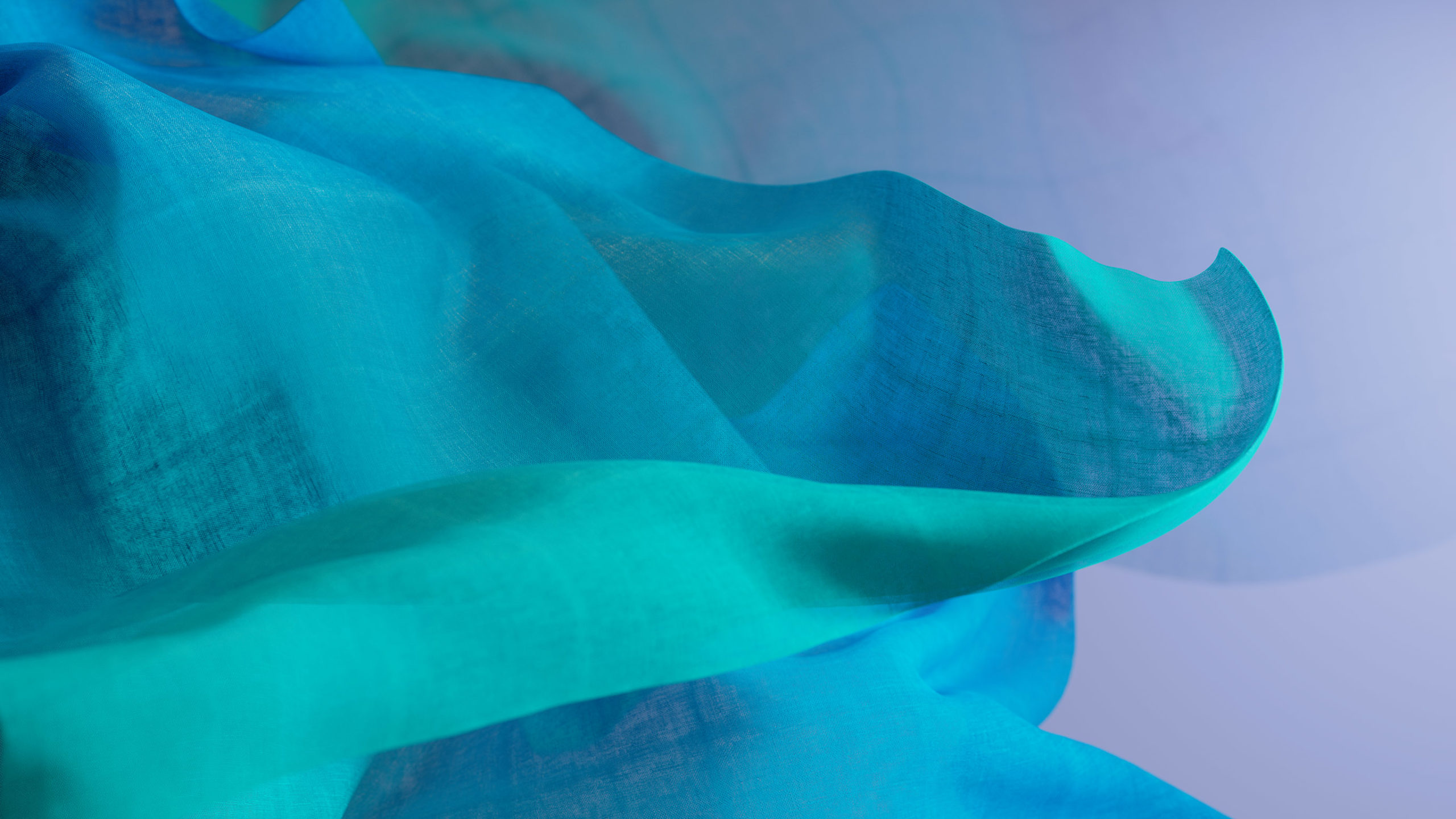 Download High-Quality Windows 11 Wallpapers