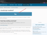 How To Enable Or Disable Javascript In All Browsers