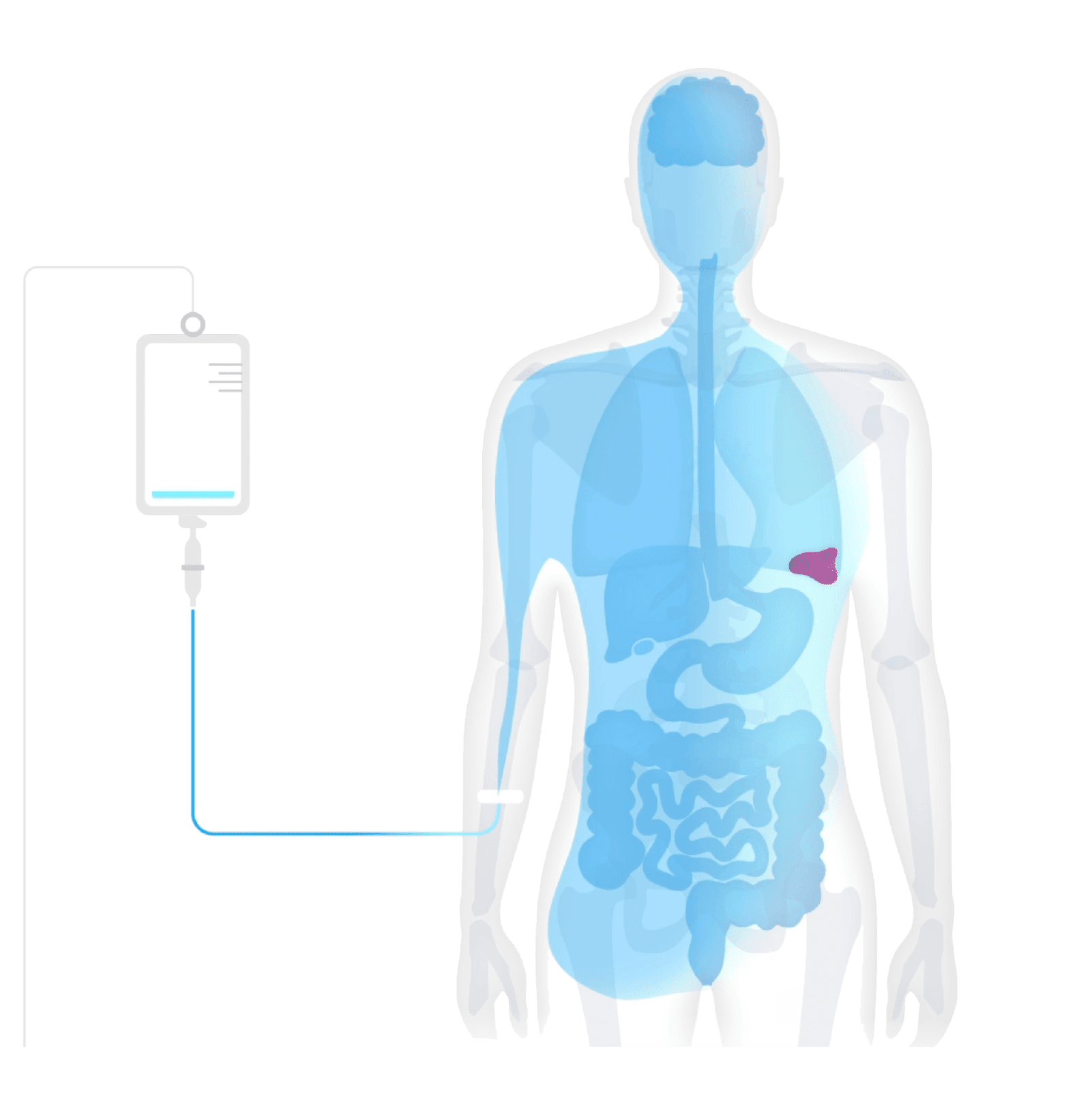 HOME - Window Therapeutics