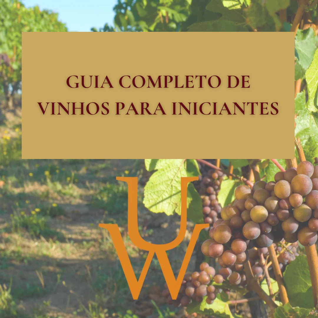 Guia Completo De Vinhos Para Iniciantes Explicação Sobre Tipos De Uv
