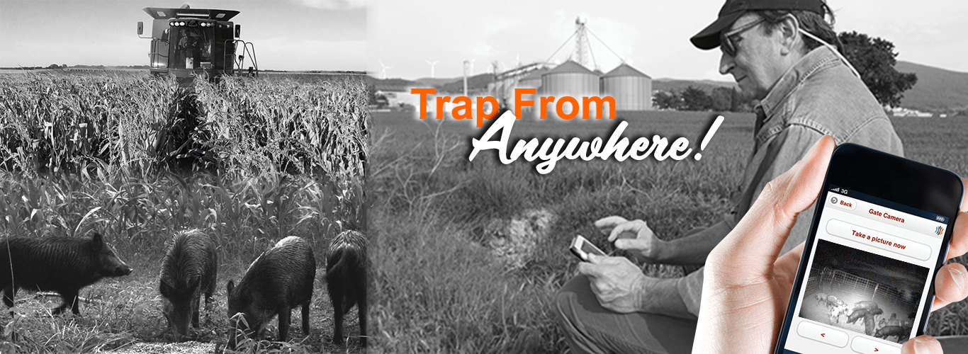 header-graphic.png?fit=1200%2C439&ssl=1