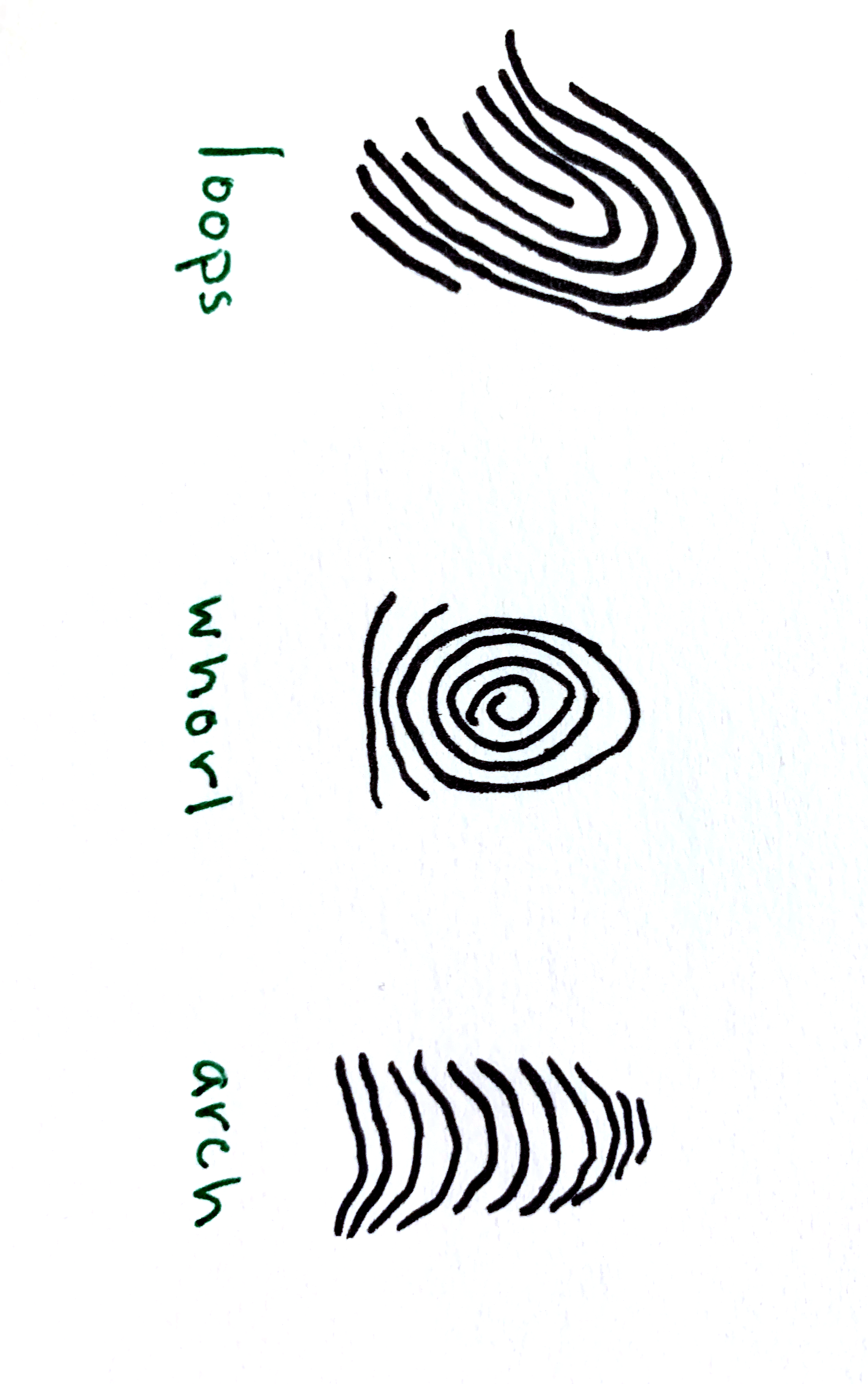 Fingerprint Fun Wisconsin Science Museum fingerprint-fun-wisconsin-science-museum