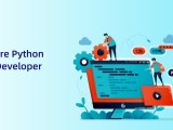Hire Python Developer Web Services Wisdom Infosoft