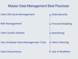 Master Data Management Best Practices To Consider