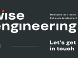 Custom Software Development Company Wise Engineering