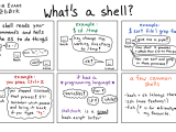 What S A Shell