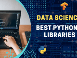 What Are The Best Python Libraries For Data Science Woman Engineer